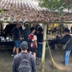 Hanoi Day-In-The-Life & Farm-to-Table Cooking Class  6 Hours - What Travelers Say