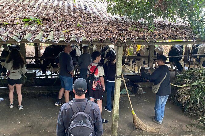 Hanoi Day-In-The-Life & Farm-to-Table Cooking Class  6 Hours - What Travelers Say