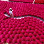 Hanoi: Figurine Village, Dau Pagoda or Hat & Incense Village - Exploring Xuan La Village and the Art of To He Figurines