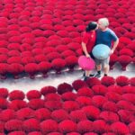 Hanoi: Hai Ly Ruined Church or Incense Village & Hat Village - Exploring the Hai Ly Ruined Church in Detail