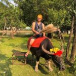 Hanoi: Hoa Lu Ancient Capital, Tam Coc Boat Ride & Scenic Biking - Transportation and Group Size