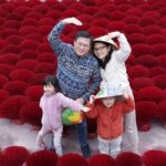 Hanoi Incense Village and Tam Coc Boat Trip Small Group Tour - Who Will Love This Tour?