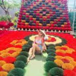 Hanoi: Incense Village, Conical Hat/ City Tour Highlights - The Sum Up