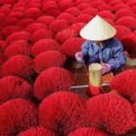 Hanoi Luxury Tours Incense Village and Hanoi City Tour - Who Will Love This Tour?