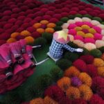 Hanoi: Ngo Luong Nature Reserve or Hat & Incense Village - Village Visits: Incense and Conical Hats Crafting