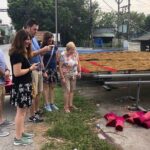 Hanoi: Quang Phu Cau Incense Village & Ninh Binh Small Group Tour - Who Will Love This Tour?