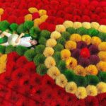 Hanoi: Thuy Ung Horn Comb Village or Hat and Incense Village - The Practicalities