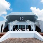 Hanoi to Halong Bay 6 Star Day Cruise Swim Buffet and Live Music - Who Will Love This Tour?