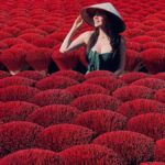 Hanoi: Vac Bird Cage Village or Incense Village, Hat Village - Who Will Love This Tour?