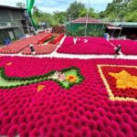 Hanoi Viet Phu Thanh Chuong or Incense Village & Hat Village - Who Will Love This Tour?