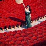 Hanoi: Wetland Reserve or Incense Village & Hat Village - What Travelers Say