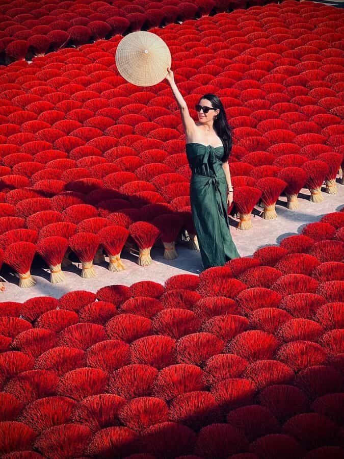 Hanoi: Wetland Reserve or Incense Village & Hat Village - What Travelers Say