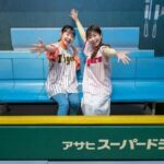 Hanshin Koshien Stadium Museum Entry Ticket & Souvenir Gift - Final Thoughts