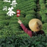 Hanzghou H-quality daytour: Xixi Wetland & Longjing Village - The Day in Detail: What to Expect