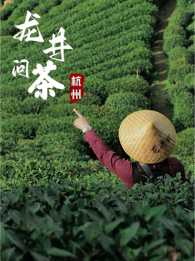 Hanzghou H-quality daytour: Xixi Wetland & Longjing Village - The Day in Detail: What to Expect