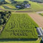 Happy Farm Fun Day Tour from NY | Kids 50% Off - The Practical Side: Transportation, Timing, and Group Size