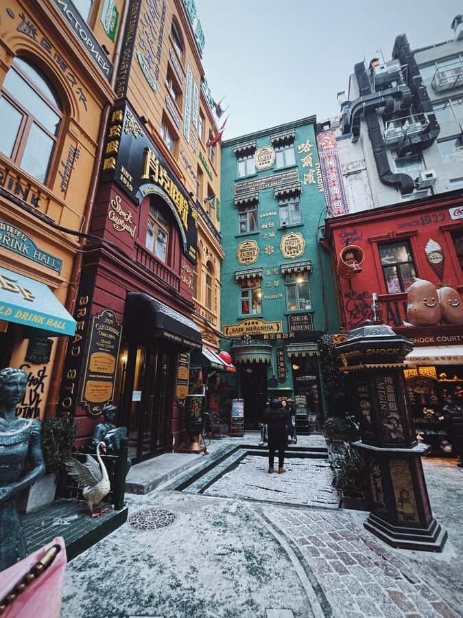 Harbin: Local Markets, Central Street, & Flexible Itinerary - Practical Details and Value