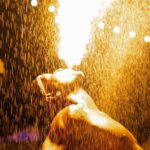 Harbour Lights Beach Extravaganza and Dinner Show - Key Points