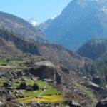Harkidun Trek Explore the Authentic Himalayas - Day 1: Arriving in Sankri