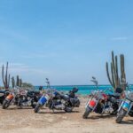 Harley-Davidson RENTALS ONLY 8 hrs - Who Will Love This Experience?