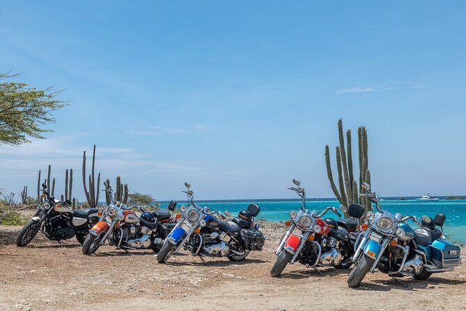 Harley-Davidson RENTALS ONLY 8 hrs - Who Will Love This Experience?