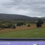 Harpers Ferry and National Museum of Civil War Medicine Tour - The Sum Up