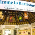 Harrison's Cave Tour from Bridgetown - The Experience: Authenticity and Practicality