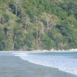 Havelock Island Day Trip from Port Blair - What’s Included and What’s Not