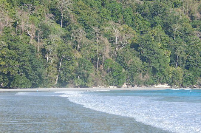 Havelock Island Day Trip from Port Blair - What’s Included and What’s Not