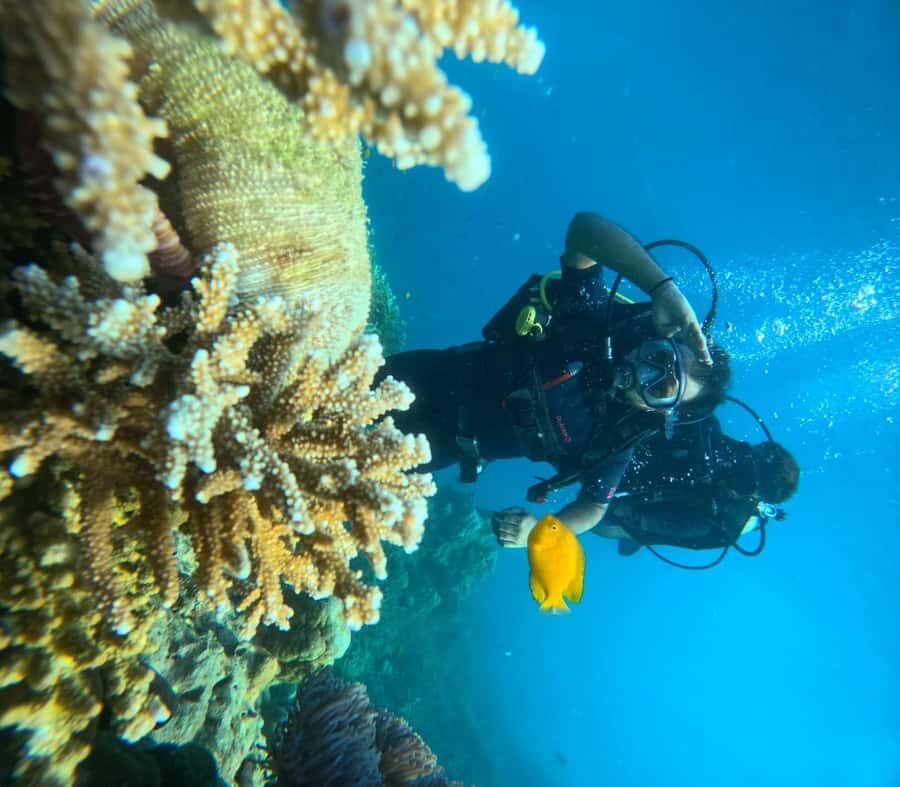 Havelock Island: Tribe Gate Boat Dive with Instructor - What to Expect from Your Underwater Adventure