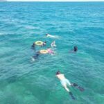 Havelock Island: Tribe Gate Guided Snorkeling Tour - What to Expect from the Snorkeling Experience