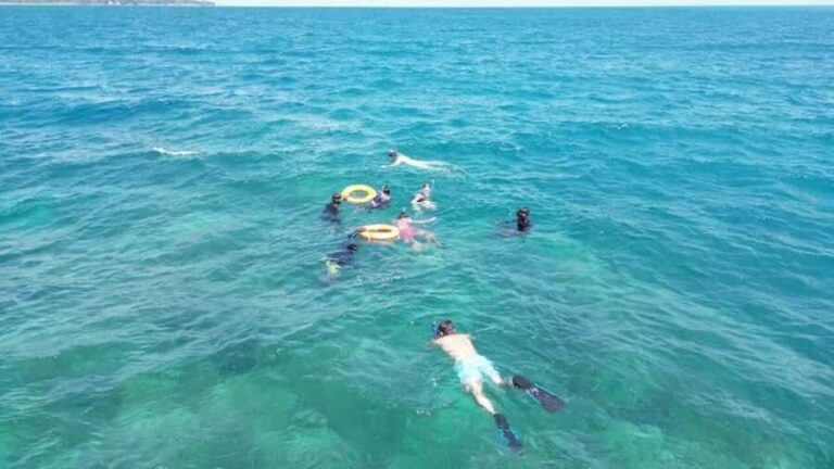 Havelock Island: Tribe Gate Guided Snorkeling Tour - What to Expect from the Snorkeling Experience