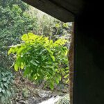 Health & Rejuvenate Tours - Who Should Book This Tour?