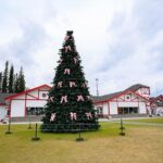 Heart of Fairbanks Tour Culture, Food, History and Fun - Transportation and Group Size