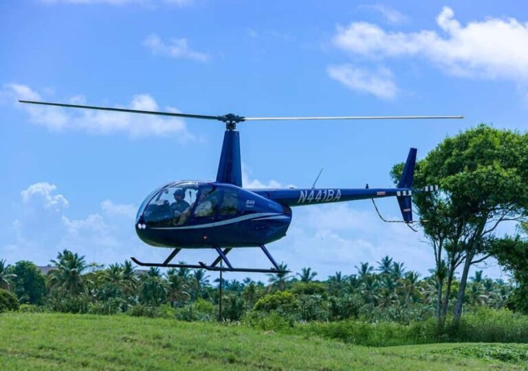 HELICOPTER TOUR - Evaluating the Price and Value