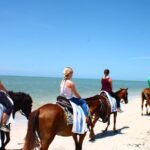 Heritage Beach Horseback Riding Tour - Final Thoughts
