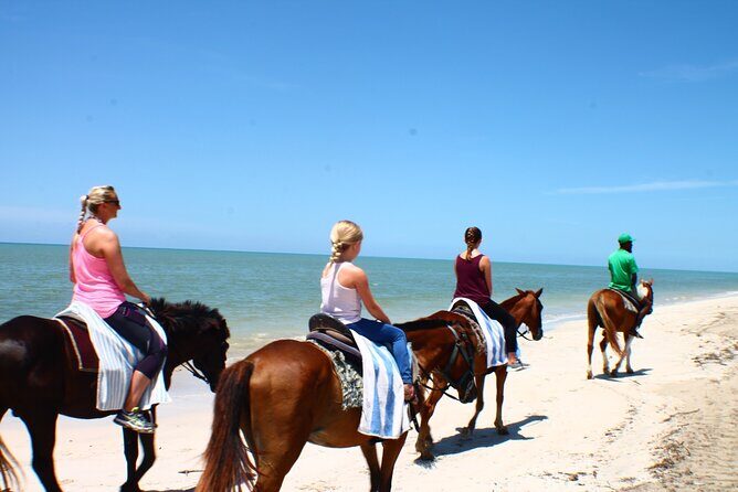 Heritage Beach Horseback Riding Tour - Final Thoughts