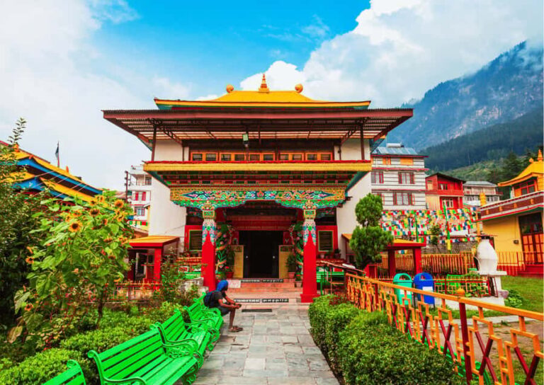 Heritage & Cultural Walking Tour Manali -Guided Walking Tour - What to Expect from the Tour