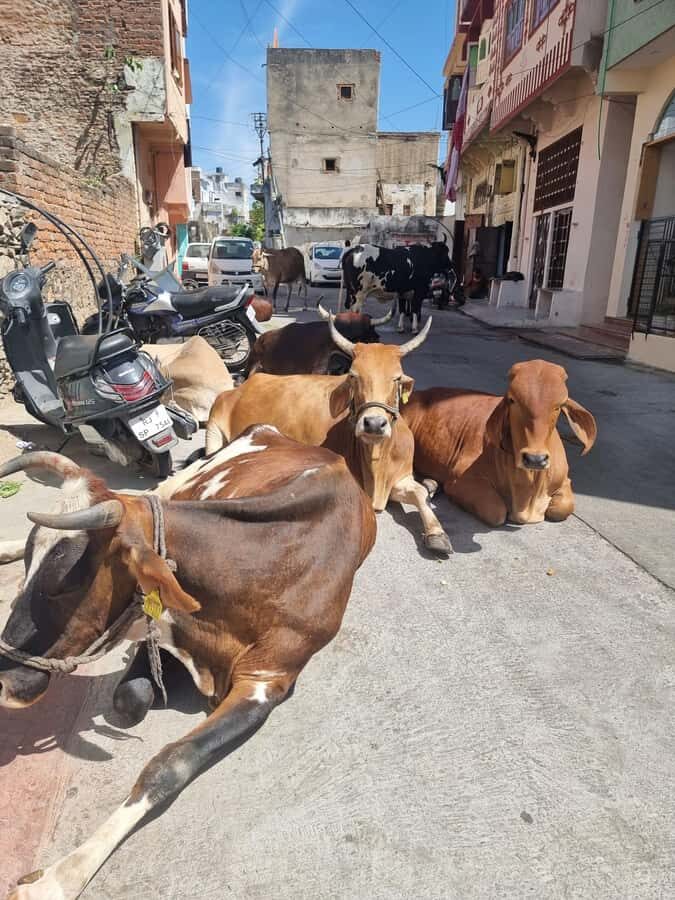 Heritage Walk, Bazaar, Culture & Local Taste Experience - What You Can Expect from the Tour