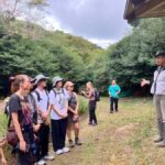 Hidaka, Wakayama: Butterfly Conservation, Hike, Hot Spring - Overall Value and Considerations
