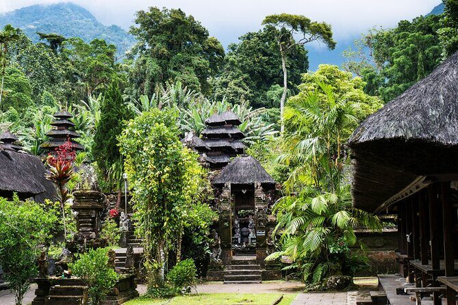 Hidden Bali Gems Sekumpul, Sacred Temples and Jatiluwih - The Practical Side of the Tour