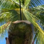 Hidden Fresh Spring of Water+ Cave+ Beach & Food Full Day Tour - What the Reviews Tell Us