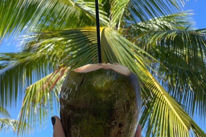 Hidden Fresh Spring of Water+ Cave+ Beach & Food Full Day Tour - What the Reviews Tell Us