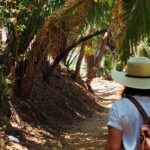Hidden Gems of Nayarit: A Private Coastal Escape - Discovering Los Ayala and Frideras Beach