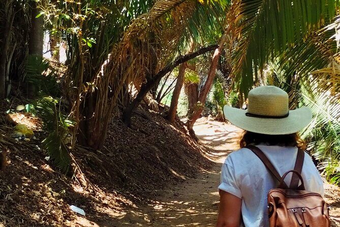 Hidden Gems of Nayarit: A Private Coastal Escape - Discovering Los Ayala and Frideras Beach