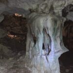 Hidden Gems of the North, Puerto Rico Private Tour - Exploring Puerto Rico’s North Coast: What to Expect