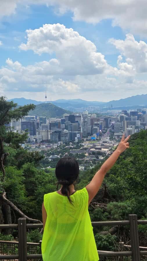 Hidden Seoul Walk: Hike, Hanok, and Local Food Tour - Notes on Logistics and Value