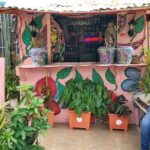 Hidden Treasures of Santiago - Why This Tour Offers Great Value