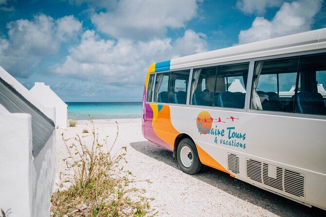 Highlights of Bonaire - What Travelers Say