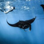 Highlights of Komodo - The Authentic Experience: What Travelers Say